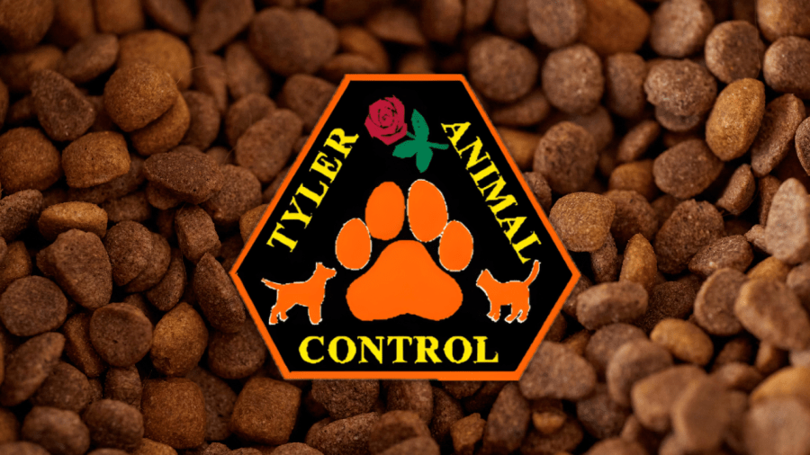 Tyler Animal Services waives adoption fees in exchange for pet food ...