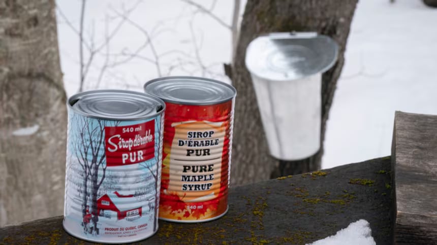 Fake maple syrup found on Quebec store shelves