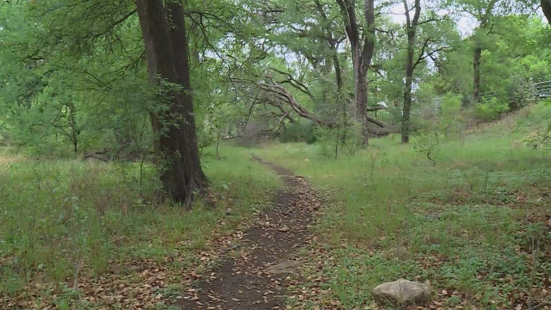 New Shoal Creek Trail underpass project at FM 2222