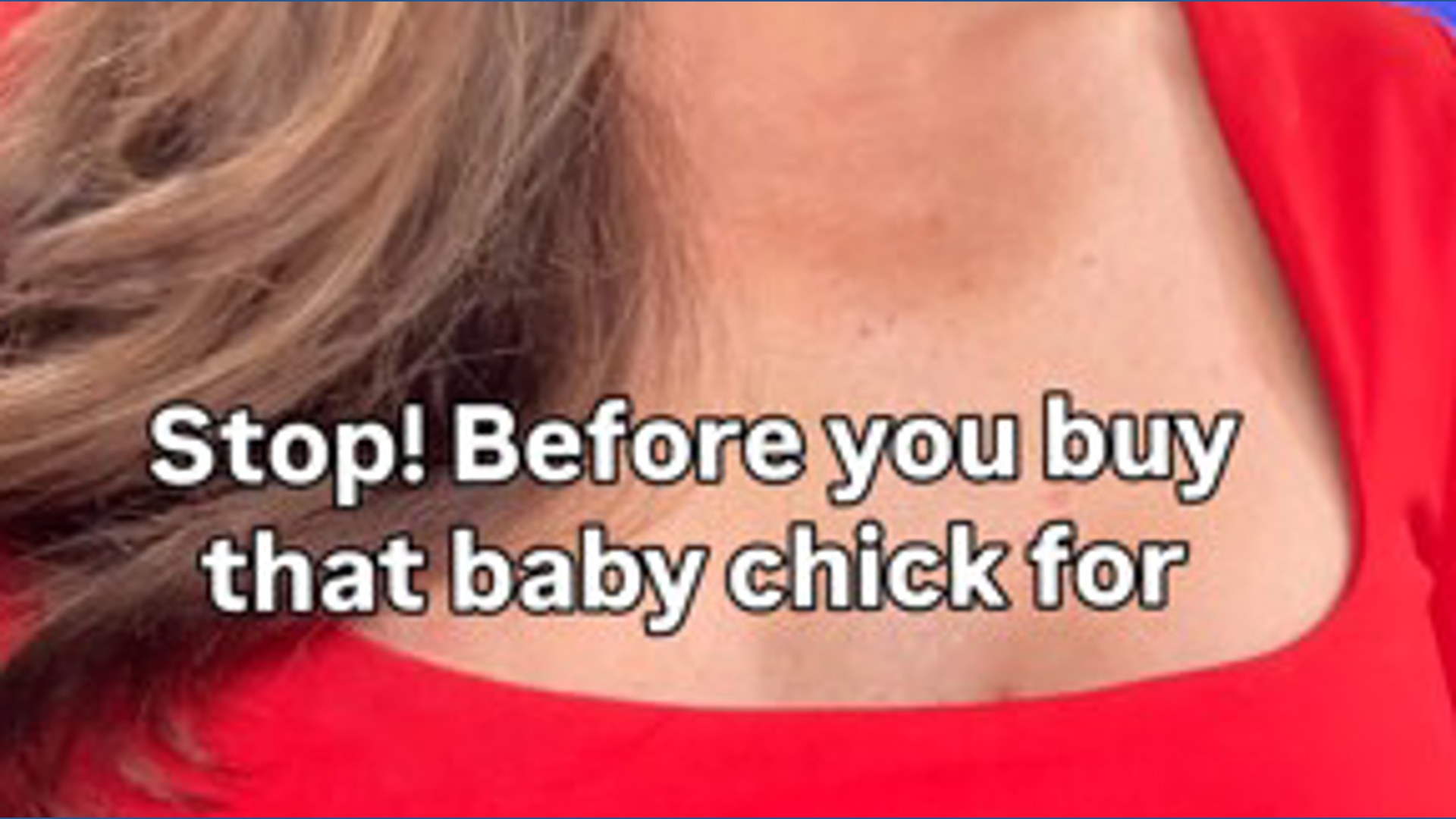 Health officials warn against buying baby chicks for Easter