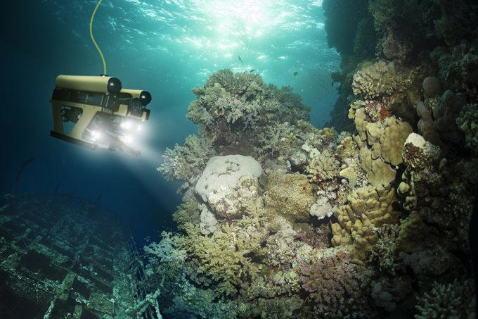 13 fascinating facts about the world’s oceans
