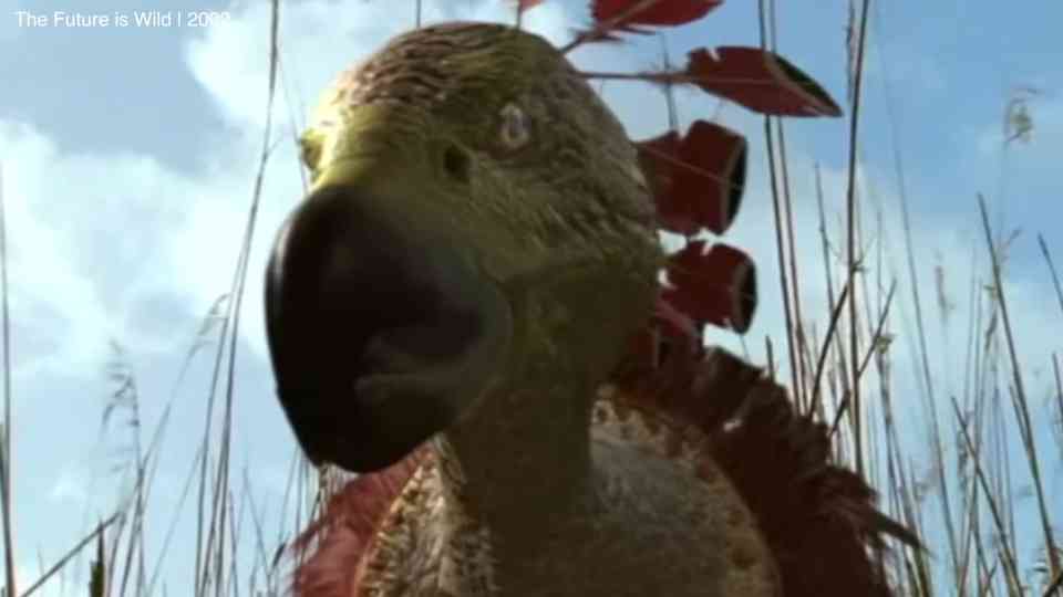 This is how creatures could have evolved