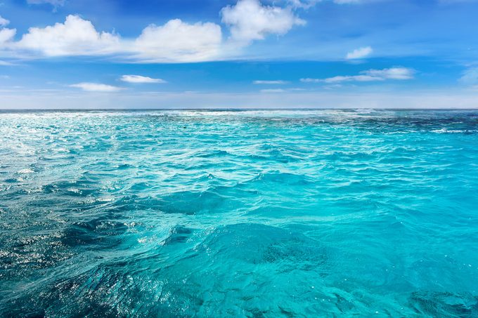 13 fascinating facts about the world’s oceans