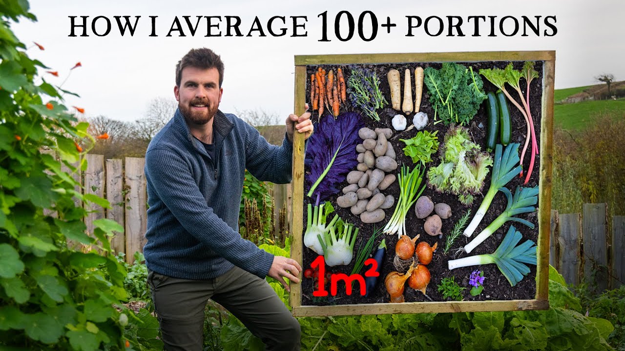 I mastered small-space gardening in 1m²!