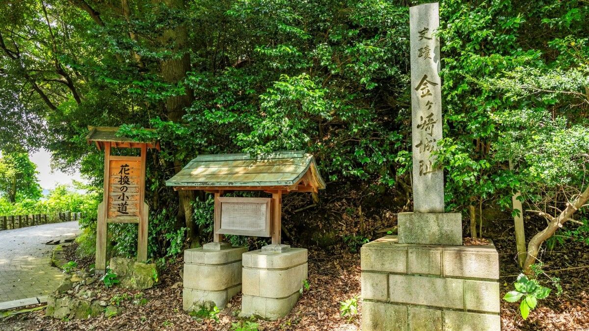 「浅井の裏切り」も信長を上機嫌にした秀吉の一言