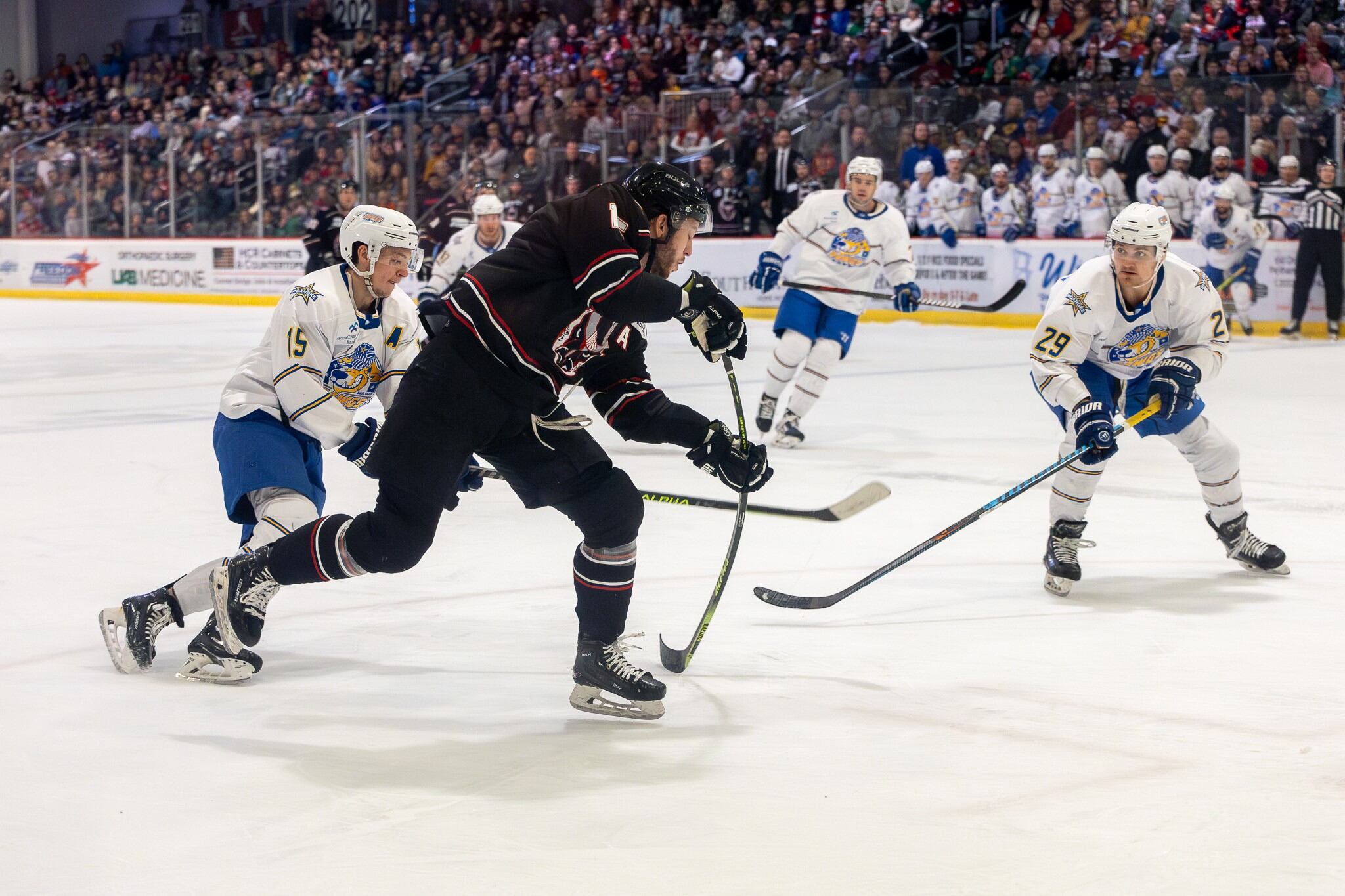 Birmingham Bulls clinch spot in SPHL playoffs
