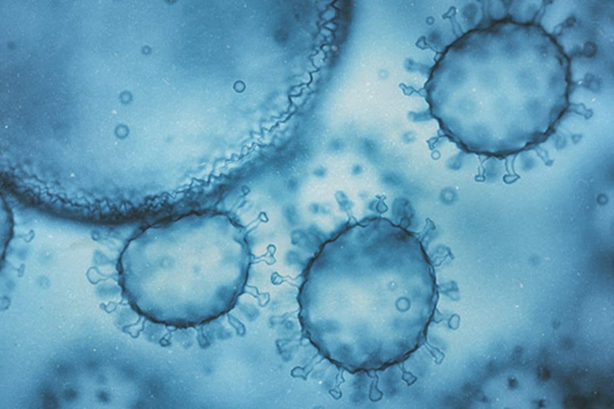 Leaning in for that kiss with your partner? Science has a new virus warning