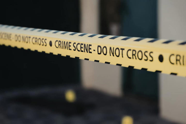 Delhi teen girl stabbed by stalker; accused dies by suspected suicide ...