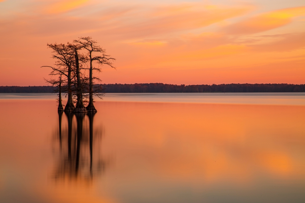 Tennessee’s strangest lake was born in an earthquake and now ancient ...