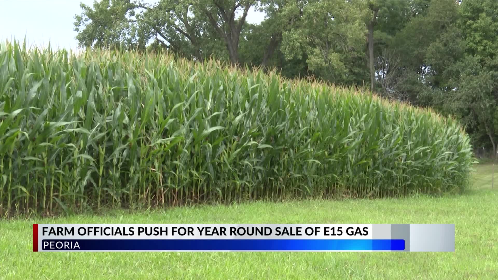Year-round E15 gasoline sales could boost Midwest farming
