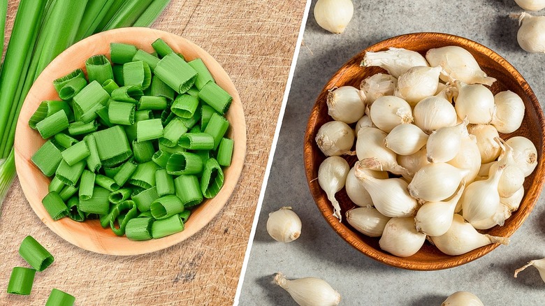 Pearl vs spring onions: What's the difference?
