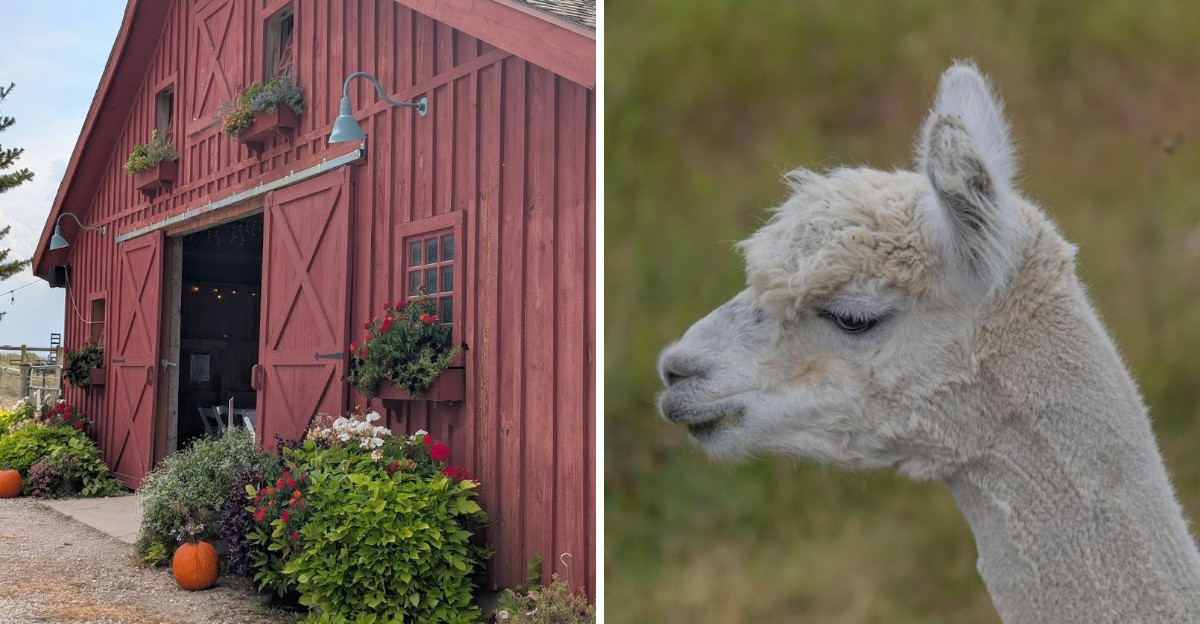 This Indiana farm lets you enjoy a private picnic in a field full of ...