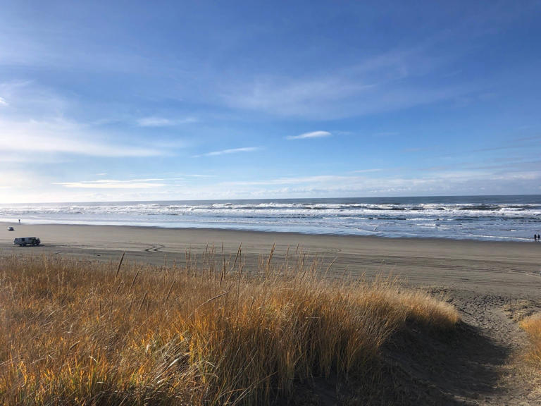 OHA issues advisory for unsafe fecal bacteria on Newport Beach