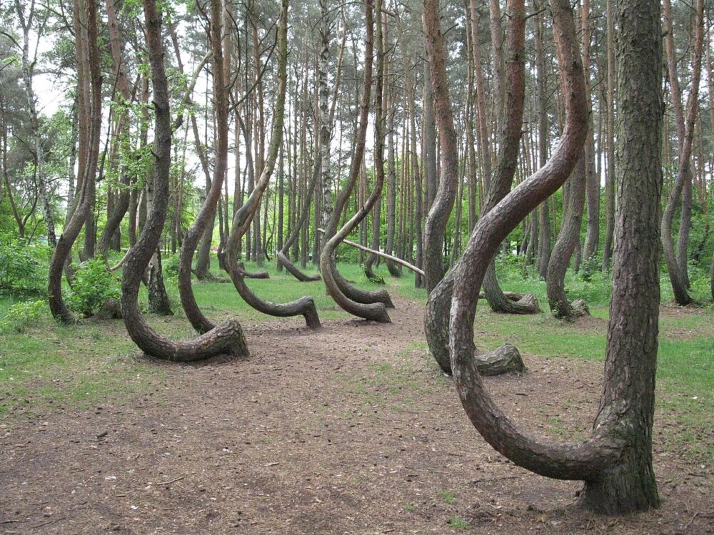 12 offbeat attractions in Poland that make road trips more fun