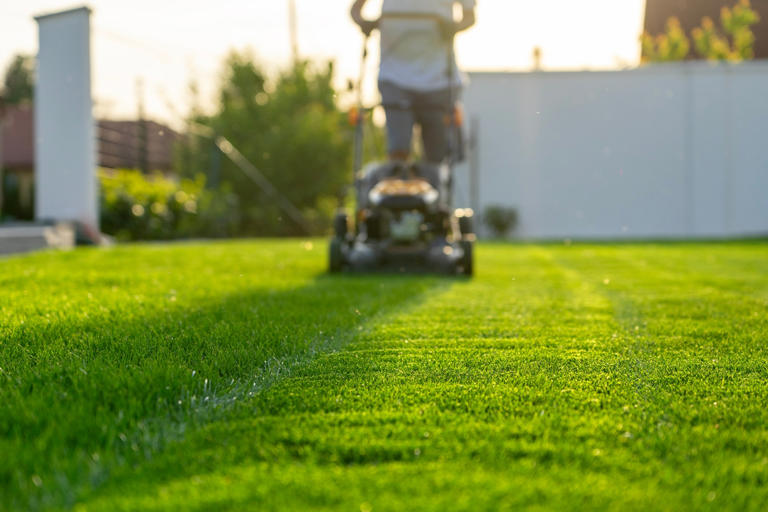 Four essential lawn jobs to do now for a perfect summer garden