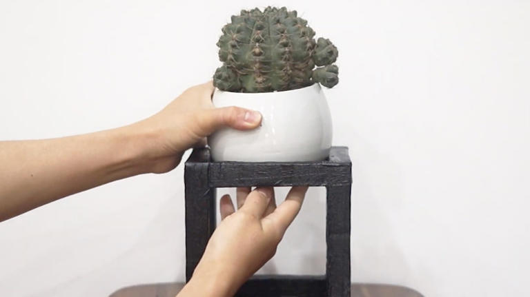 How to upcycle cardboard boxes into decorative plant stands