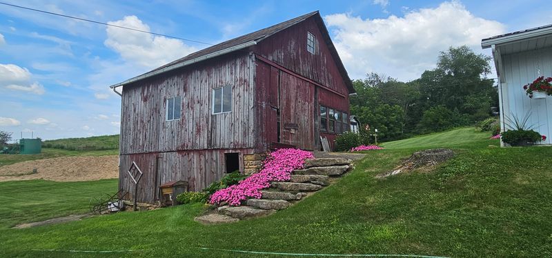 These are the things tourists commonly misunderstand about the Amish in ...