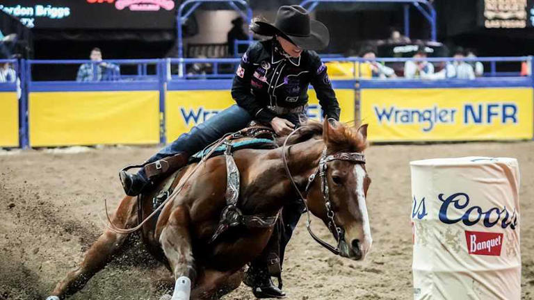 Dash Ta Fame reigns supreme on all-time barrel racing leaderboards