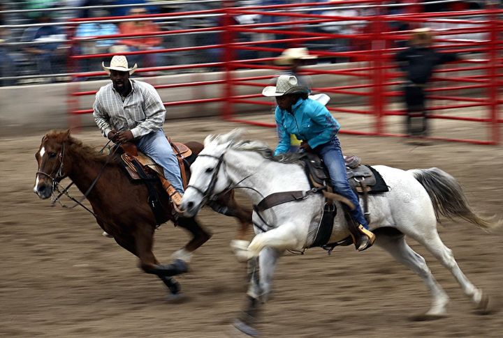 10 roles horses still hold in modern Texas life