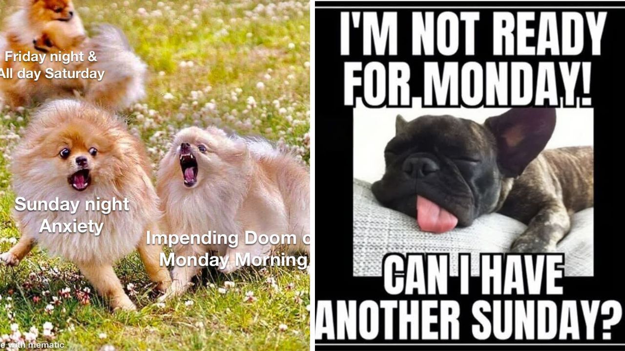 Memes that perfectly capture the Sunday scaries