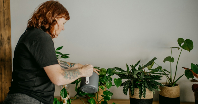 Employee curates desktop plant collection, gets annoyed when coworker ...
