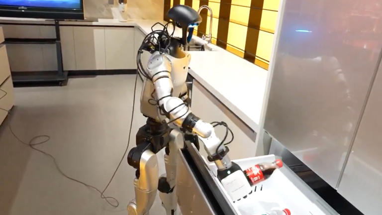 Más que un asistente: El nuevo robot enfermero que cocina, limpia y ...