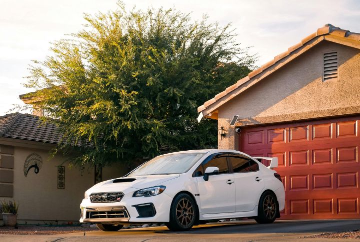 15 reasons your garage attracts birds (and tips to evict them)