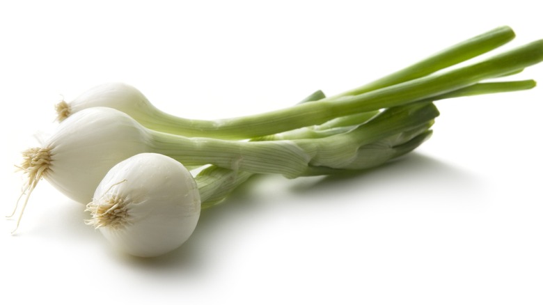 Pearl vs spring onions: What's the difference?