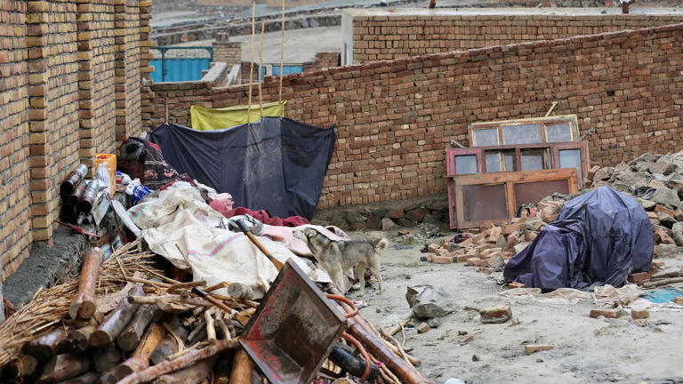 Afghanistan earthquake claims lives of refugee family, injures young boy