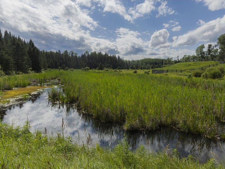 Alberta’s water reckoning: Conservation is now an economic imperative