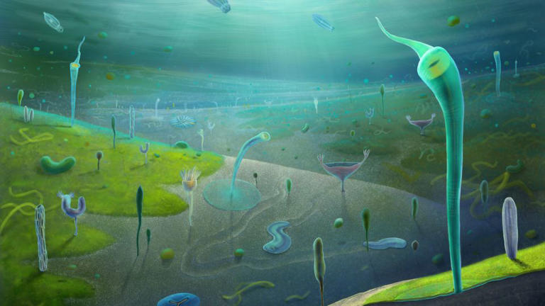 Fossils from China show complex life evolved millions of years earlier ...