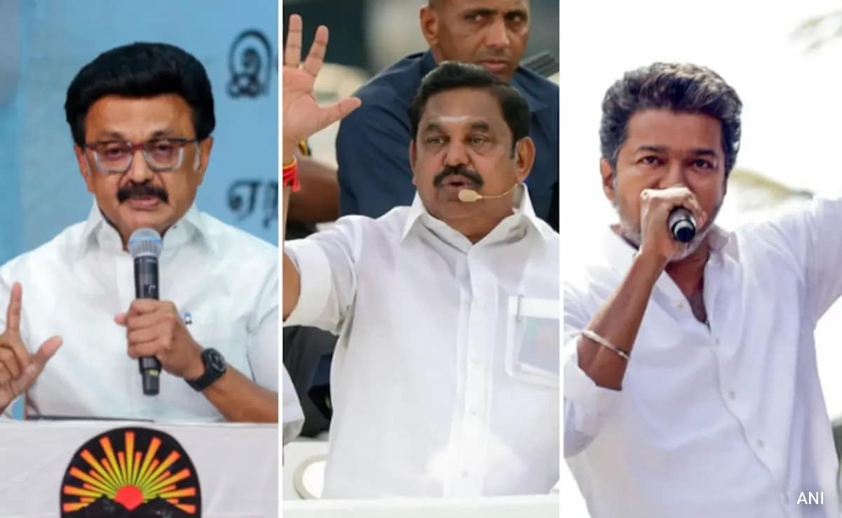 DMK vs AIADMK, and a Vijay 'hero or cameo' question as Tamil Nadu votes