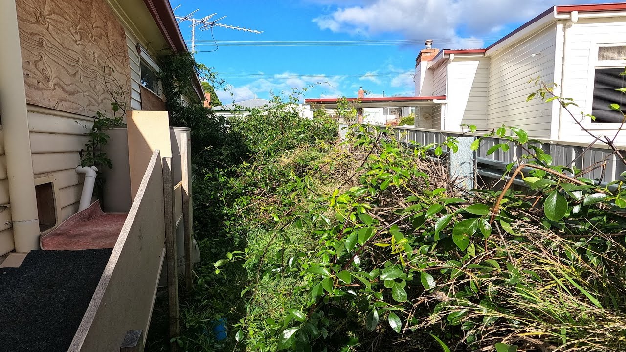 I transformed a garden disaster 😱