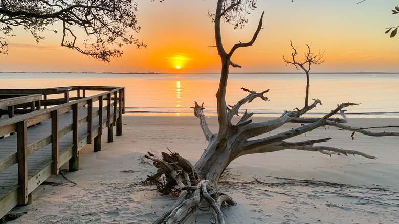 This southeast road trip from Georgia to the Carolinas boasts coastal ...
