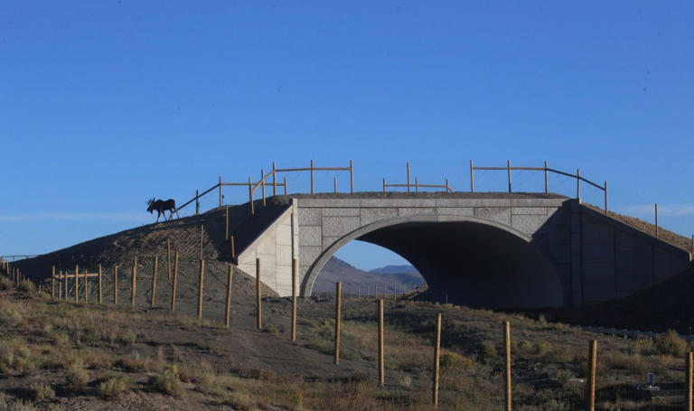 Largest wildlife overpass in North America saving lives of people and ...