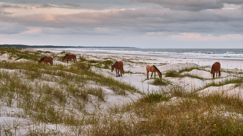 This southeast road trip from Georgia to the Carolinas boasts coastal ...