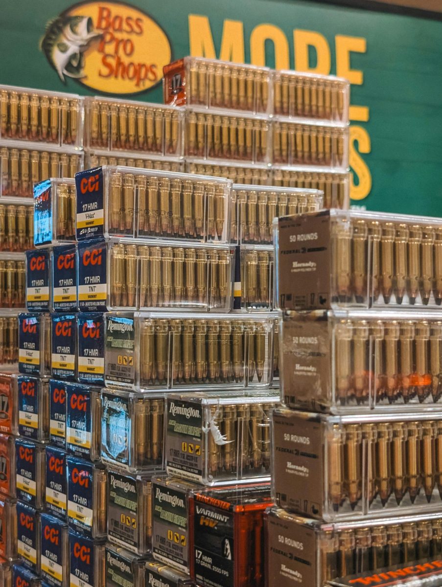 10 most recommended calibers that actually disappoint