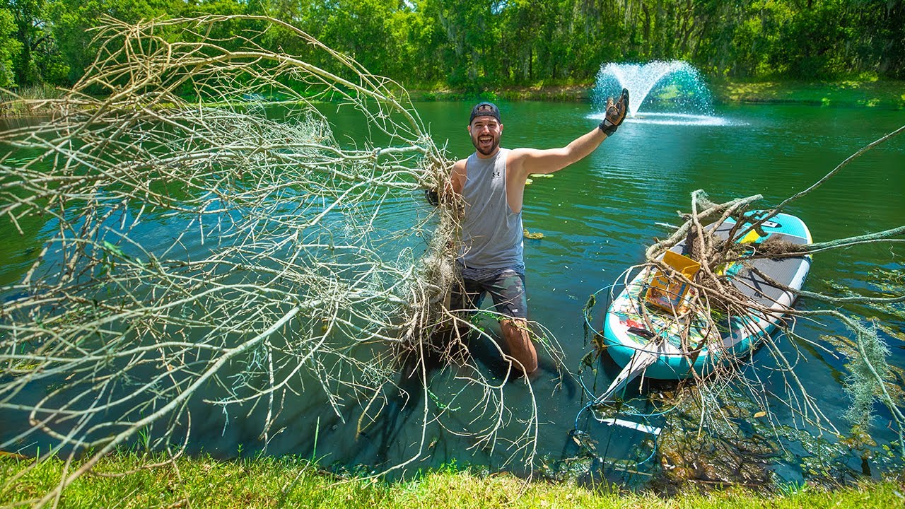 Dog food vs fish food: Which attracts bass better?