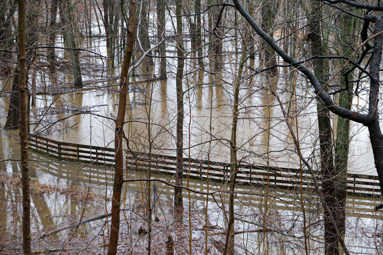 'It's pretty bad.' Greater Lansing copes with more rain, flooding on ...