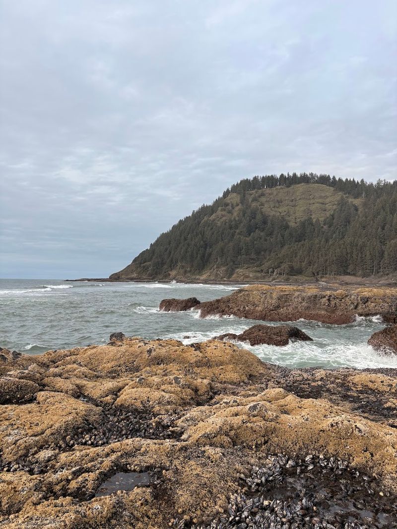 This Oregon Coast stop lets you visit four incredible natural wonders ...