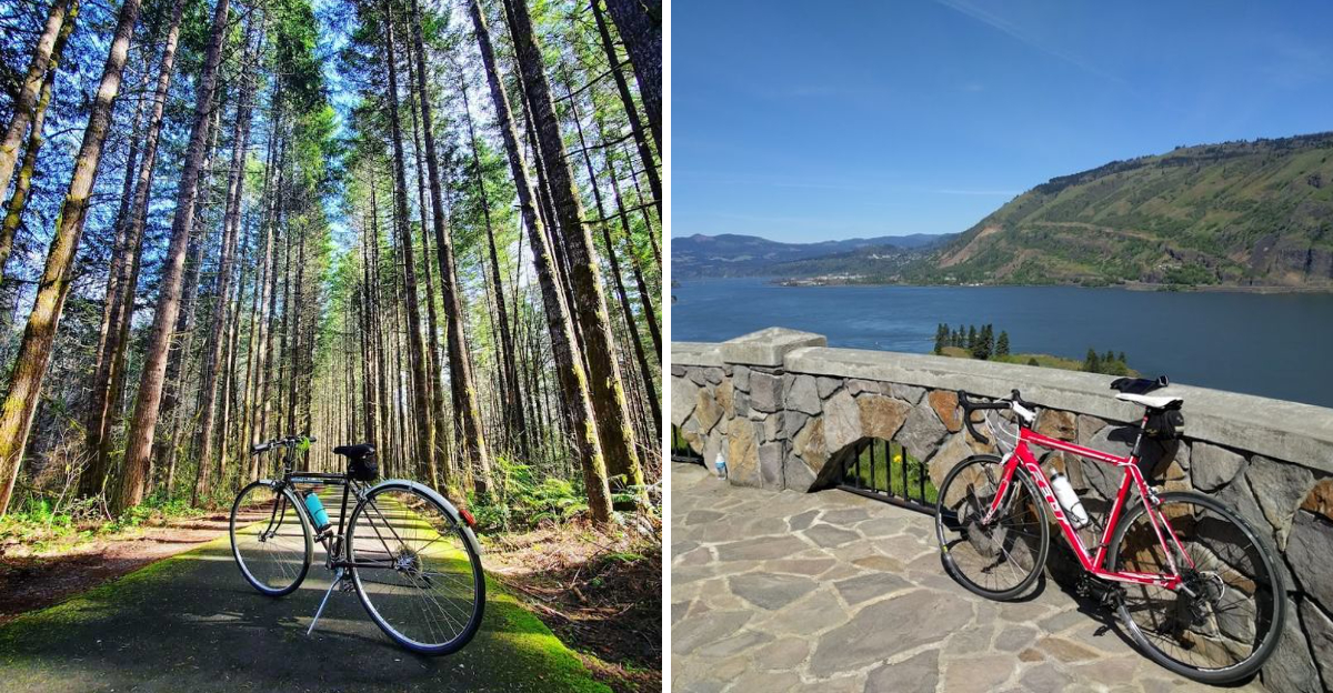 9 scenic bike paths in Oregon that are perfect for your next ride