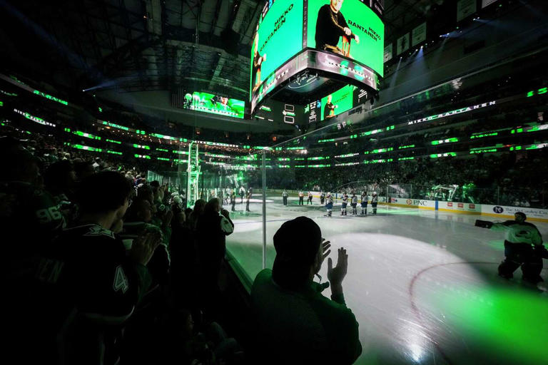 Dallas Stars ban fan from American Airlines Center after video ...