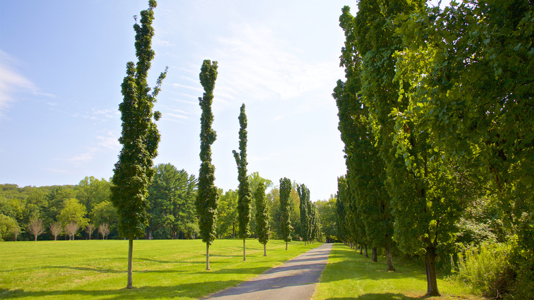 New Jersey's once-thriving drive-through safari is now in a state park ...