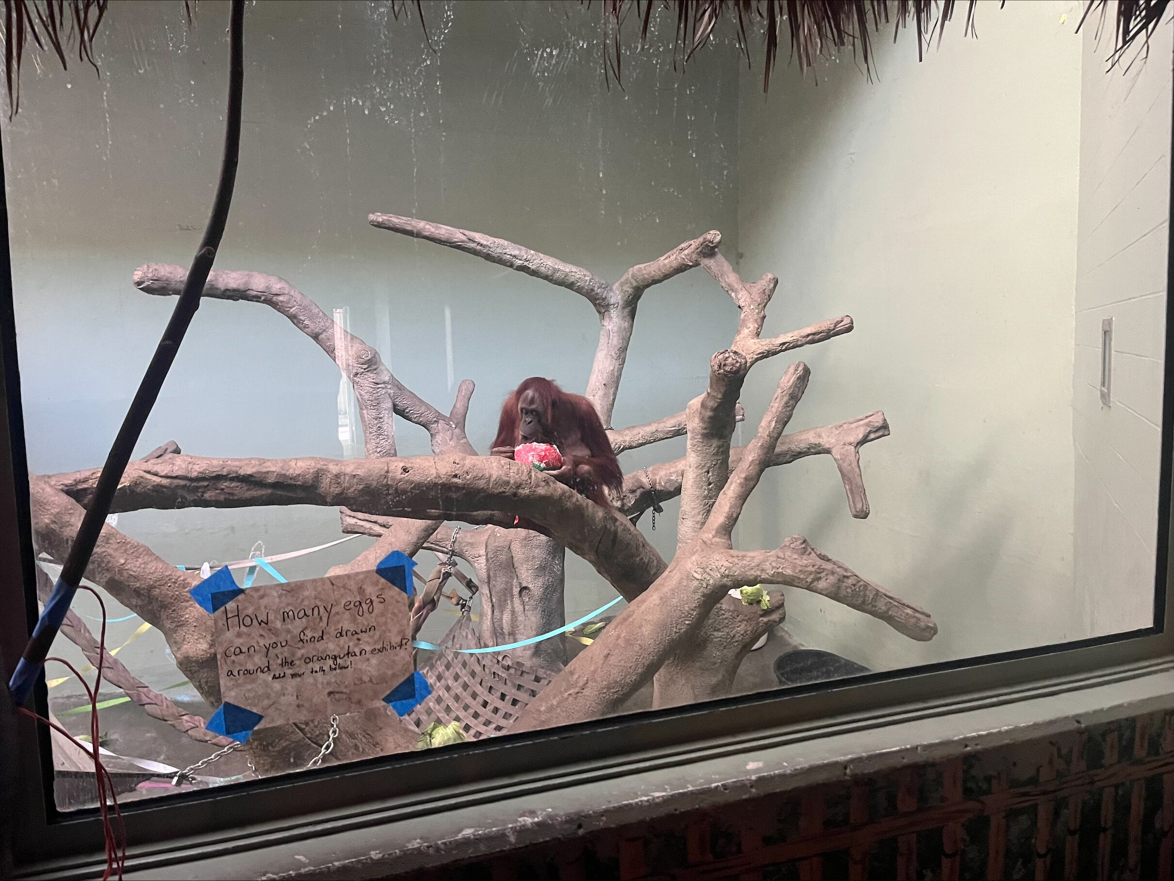 Animals get in on the Easter fun at Topeka Zoo’s Eggstravaganza