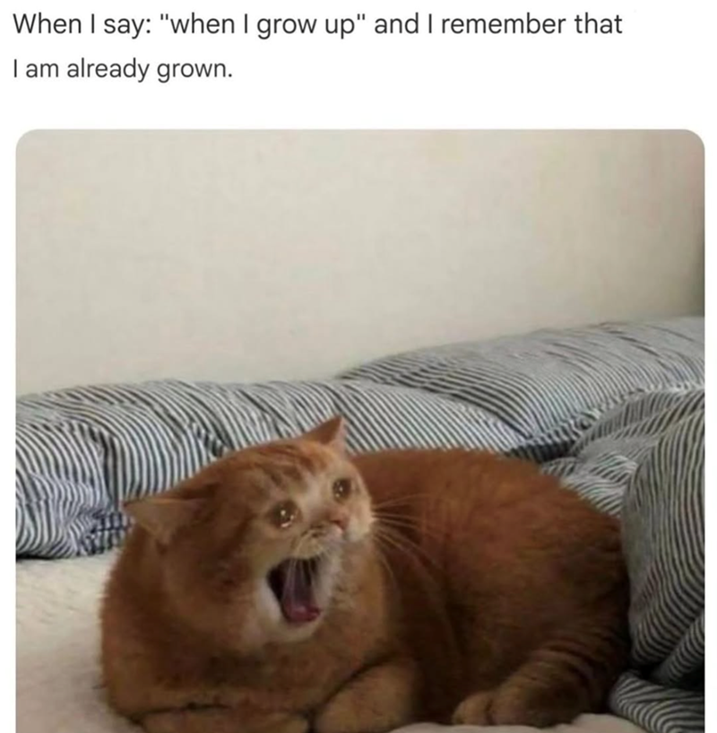 'Laughter is the best medicine': 21 laughs that will guide you on your ...