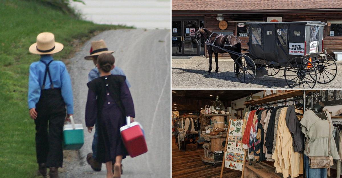 These are the things tourists commonly misunderstand about the Amish in ...