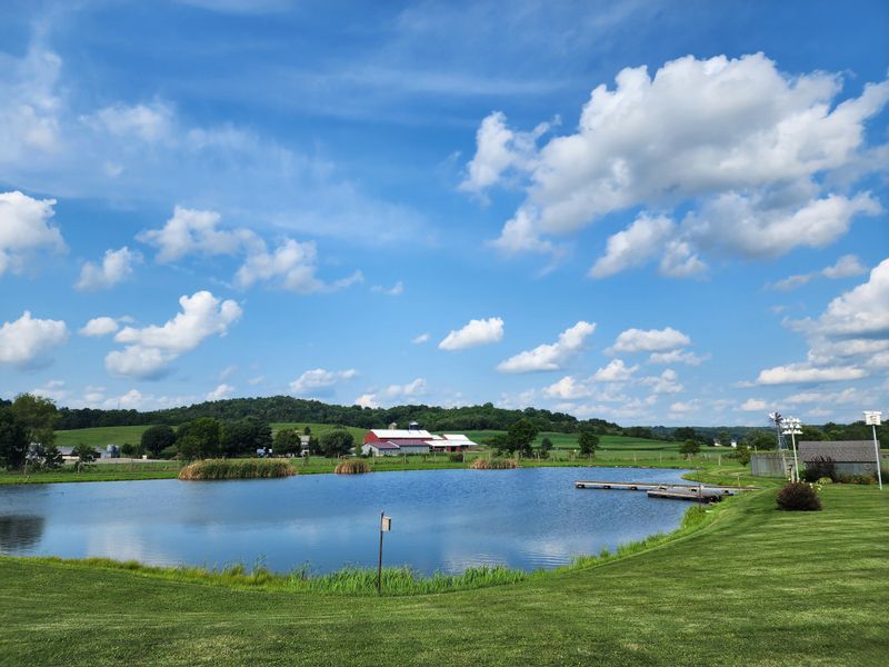 These are the things tourists commonly misunderstand about the Amish in ...