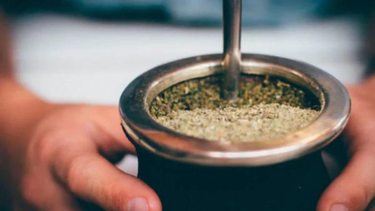 El yuyo que muchos agregan al mate y ayuda a mantenerse activo