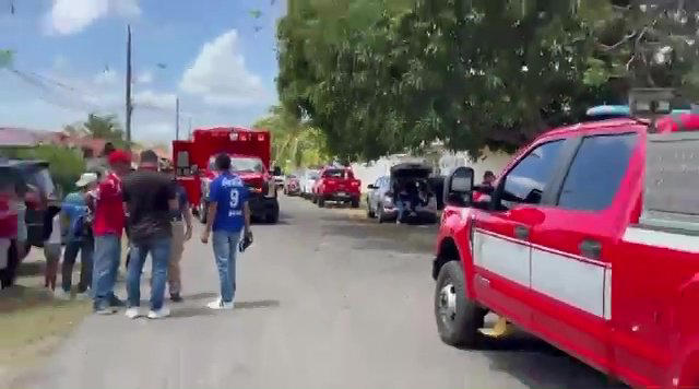 ‘Killer bee’ attack leaves 150 people injured with 50 taken to hospital