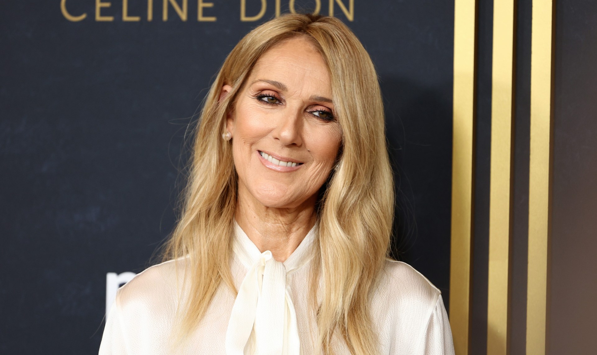 Celine Dion fans hopeless with over 1,000,000 stuck in the queue for ...